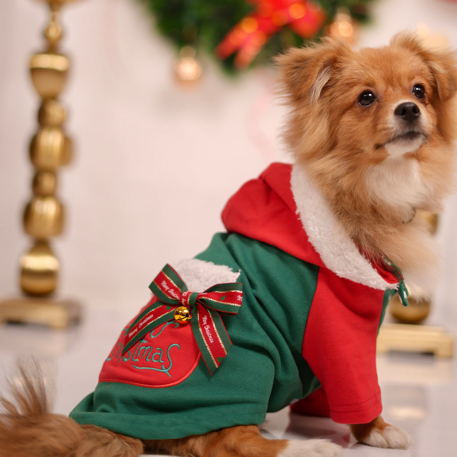 Claws n Paws | Pet Store Online | Pet Products Shop Online