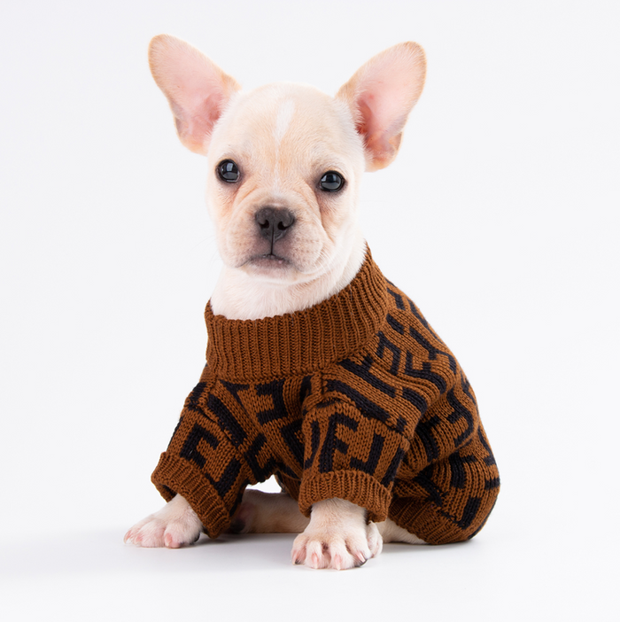 Claws n Paws | Pet Store Online | Pet Products Shop Online