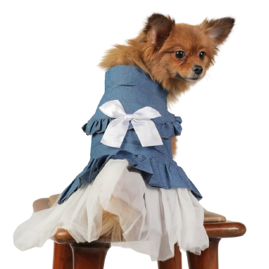 Stylish Dog Frocks| Denim dog frock| Sizes: S, XS, XXS| Colours: Pink ...
