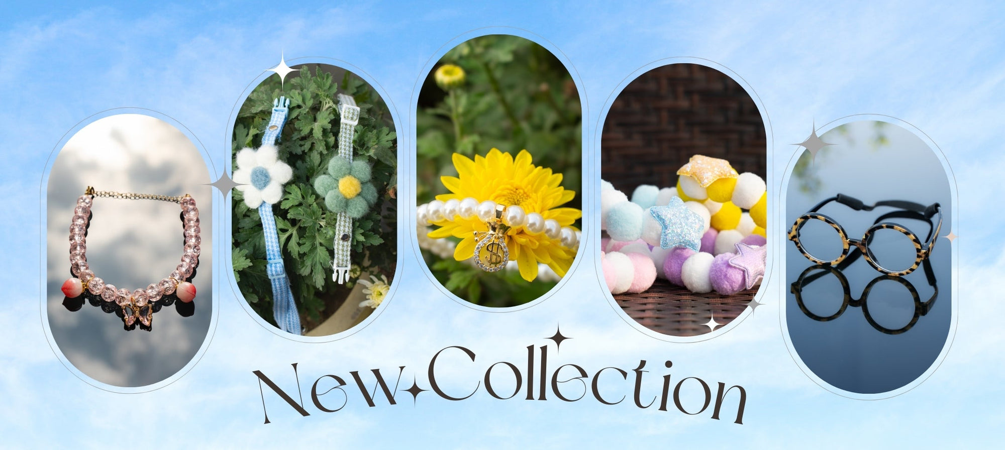 Claws n Paws | Pet Store Online | Pet Products Shop Online