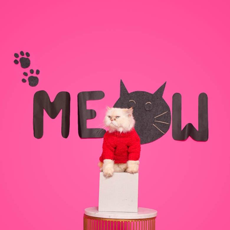 Claws n Paws | Pet Store Online | Pet Products Shop Online